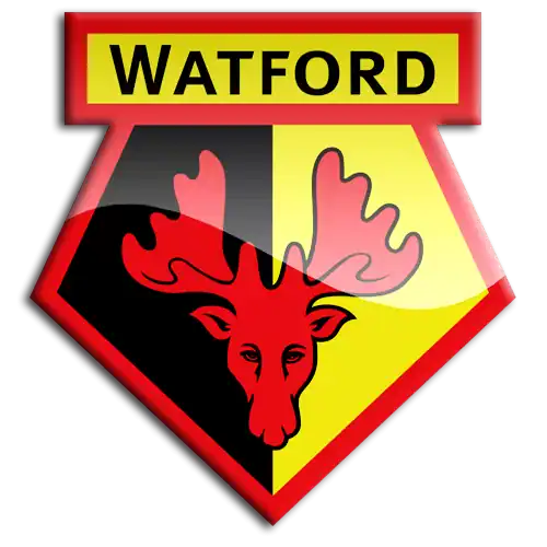 Watford - Vicarage Road - Football Nonsense